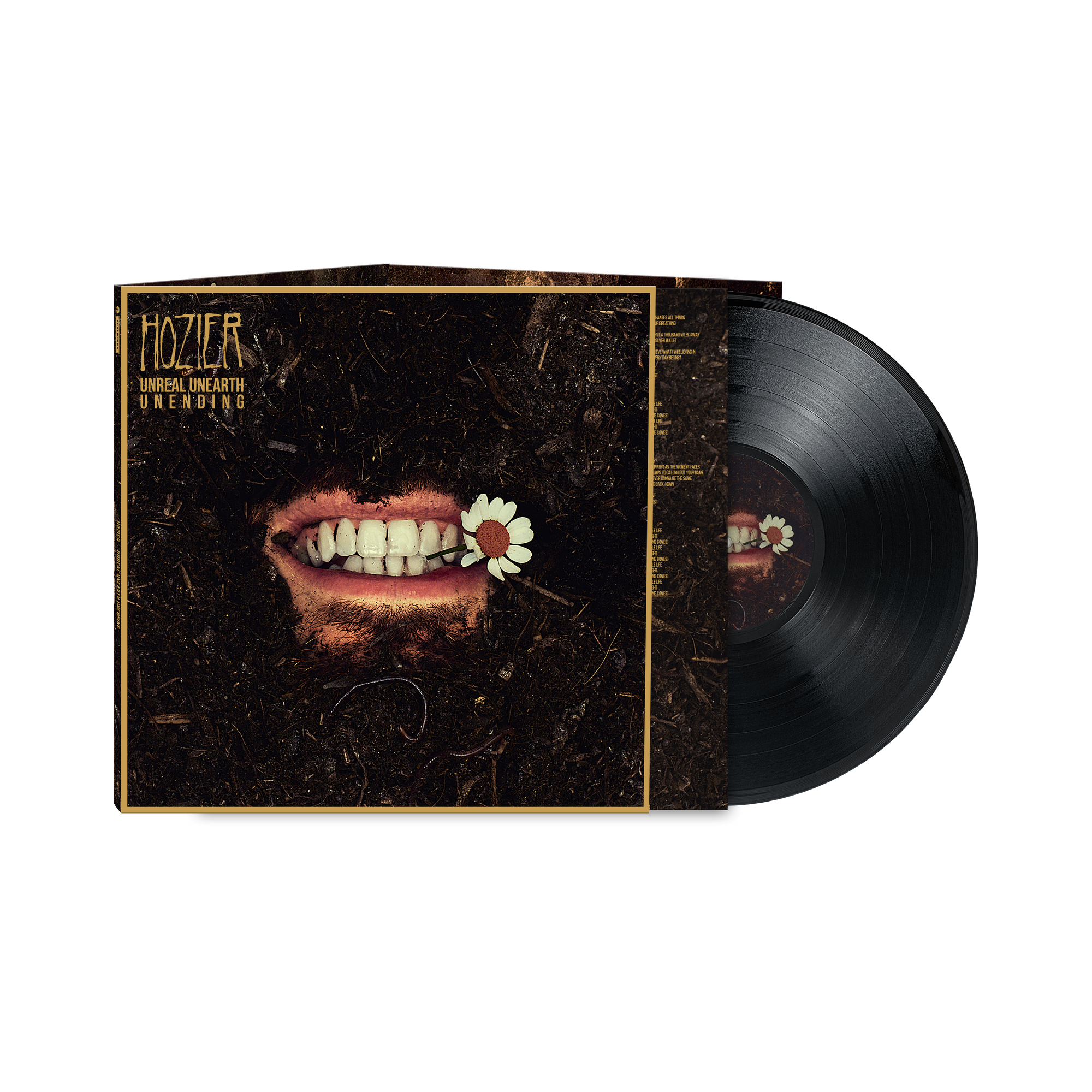 Vinyl - Hozier