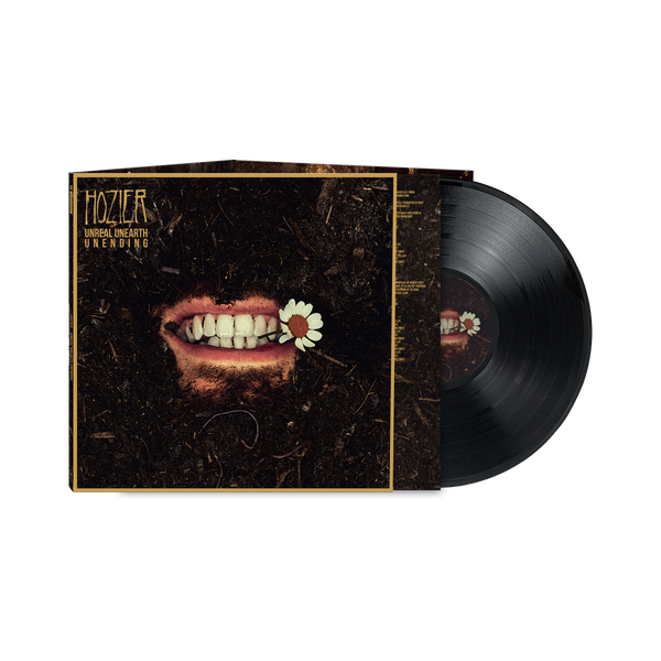 Vinyl - Hozier